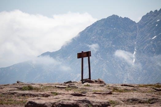 Shortboard Sizing: Find Your Perfect Shred Stick!